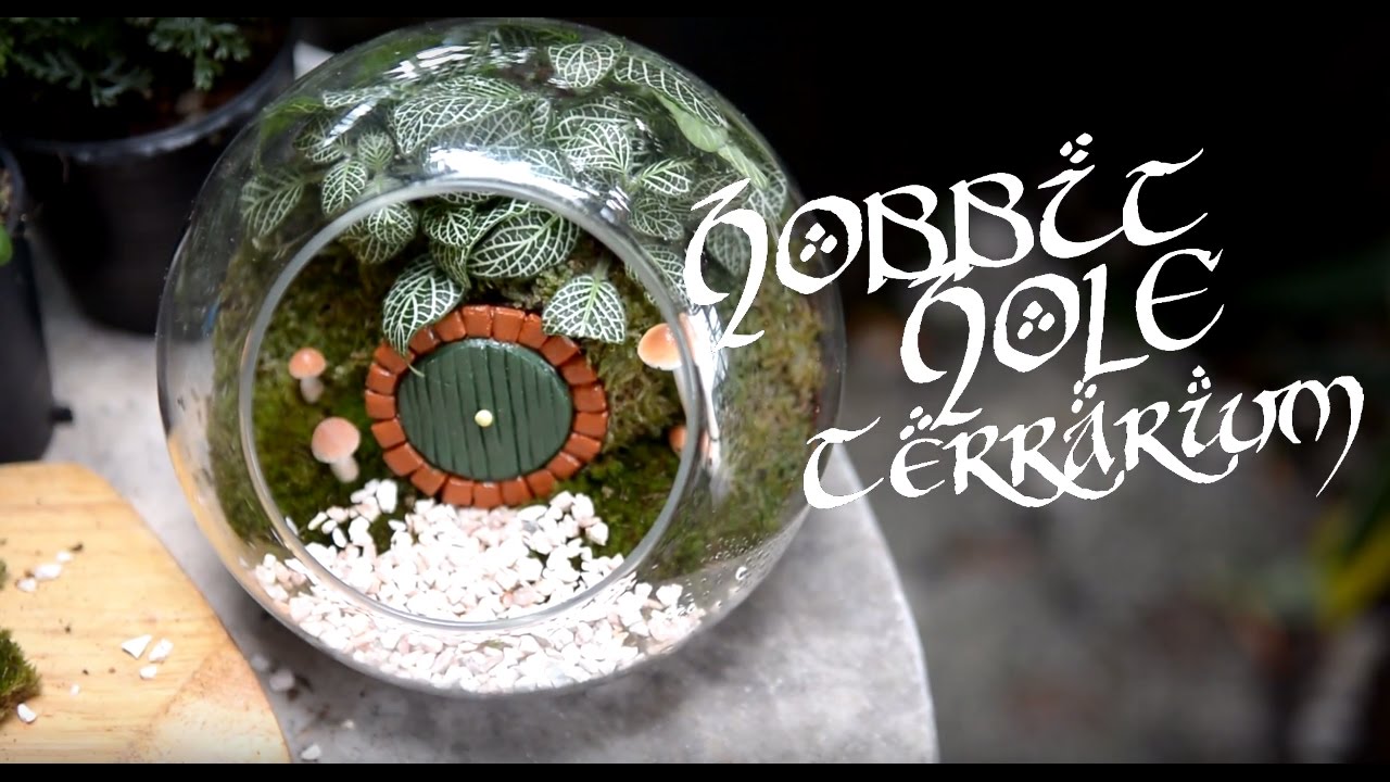 Geek's Garden: Hobbit-hole Terrarium - YouTube
