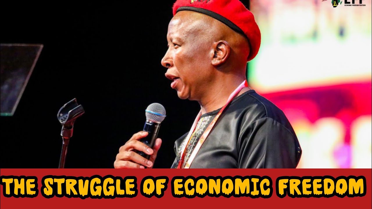 Malema Speech on NPA Structure | This is for our ancestors - YouTube