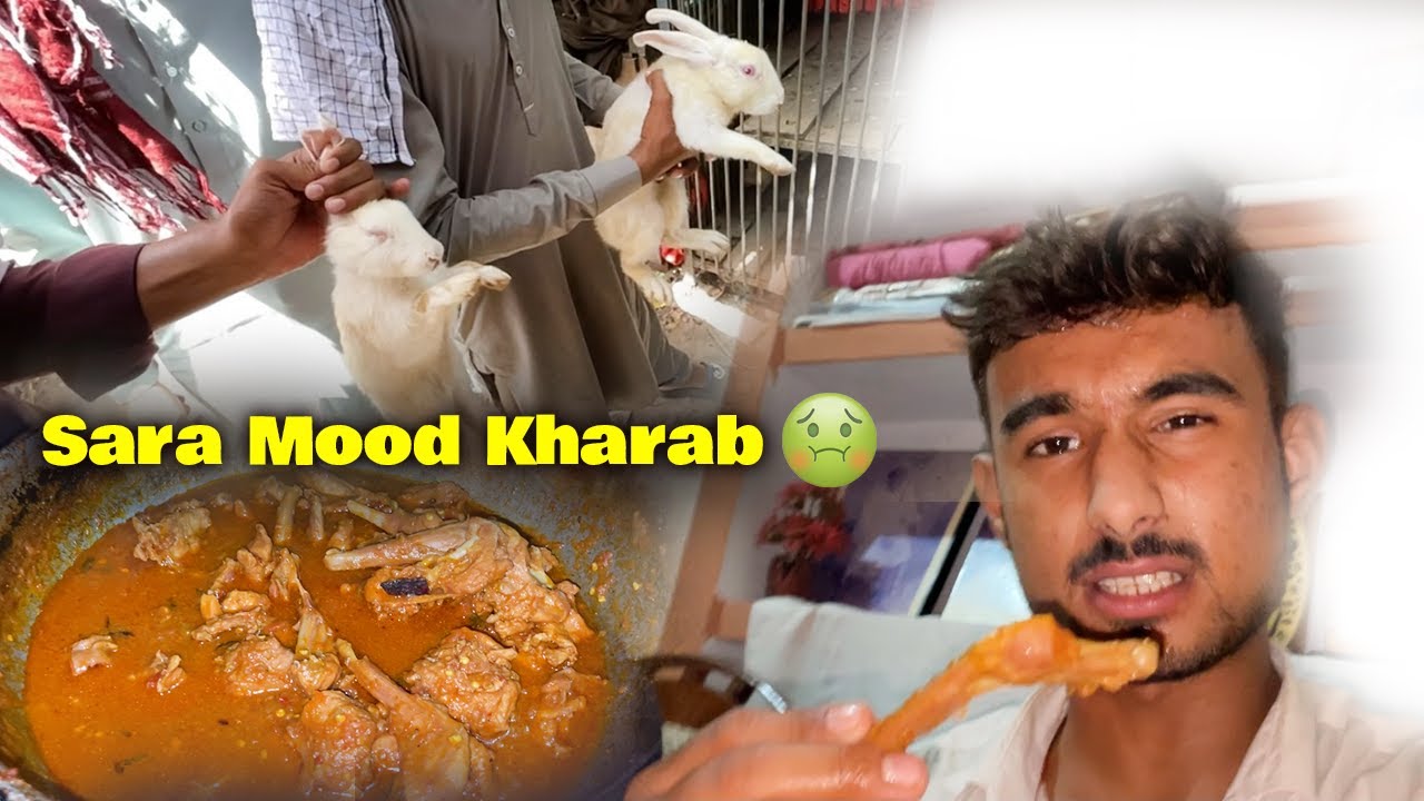First Time Khargosh Karahi Khai ||| Rabbit Karahi || Sara Mood Kharab!!!!🤮 - YouTube