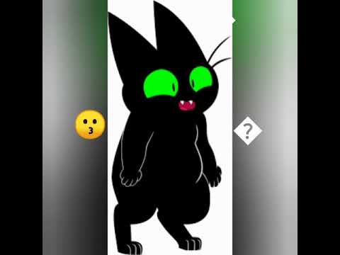 Mao mao it's the cutest cat - YouTube