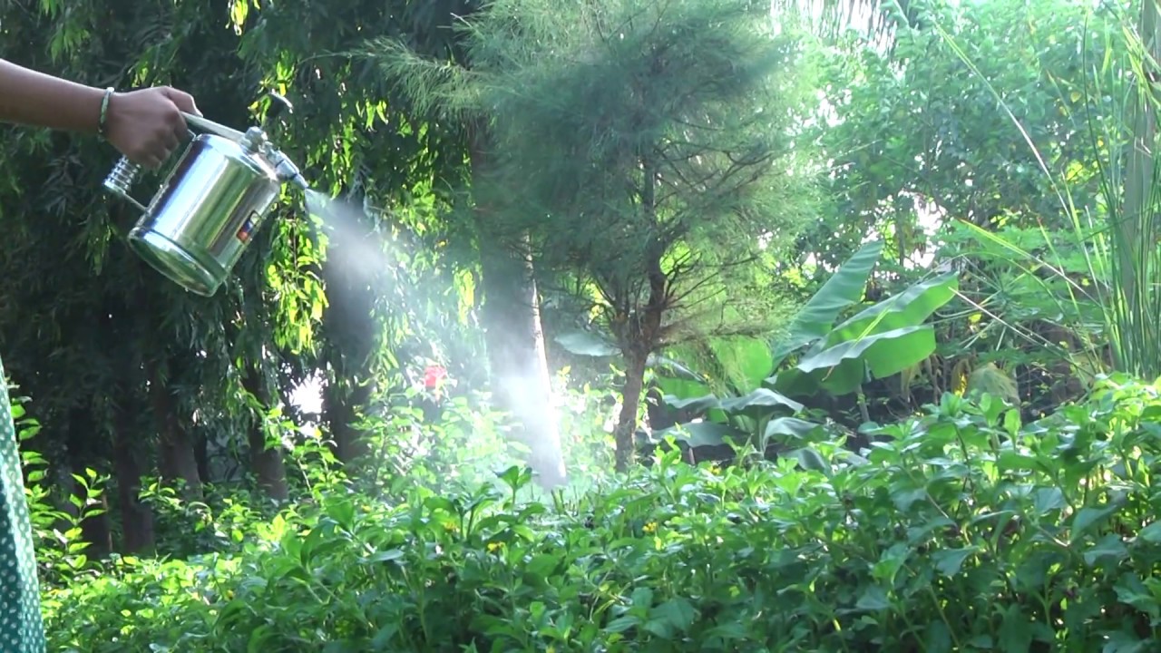 ASPEE Ganesh - YouTube