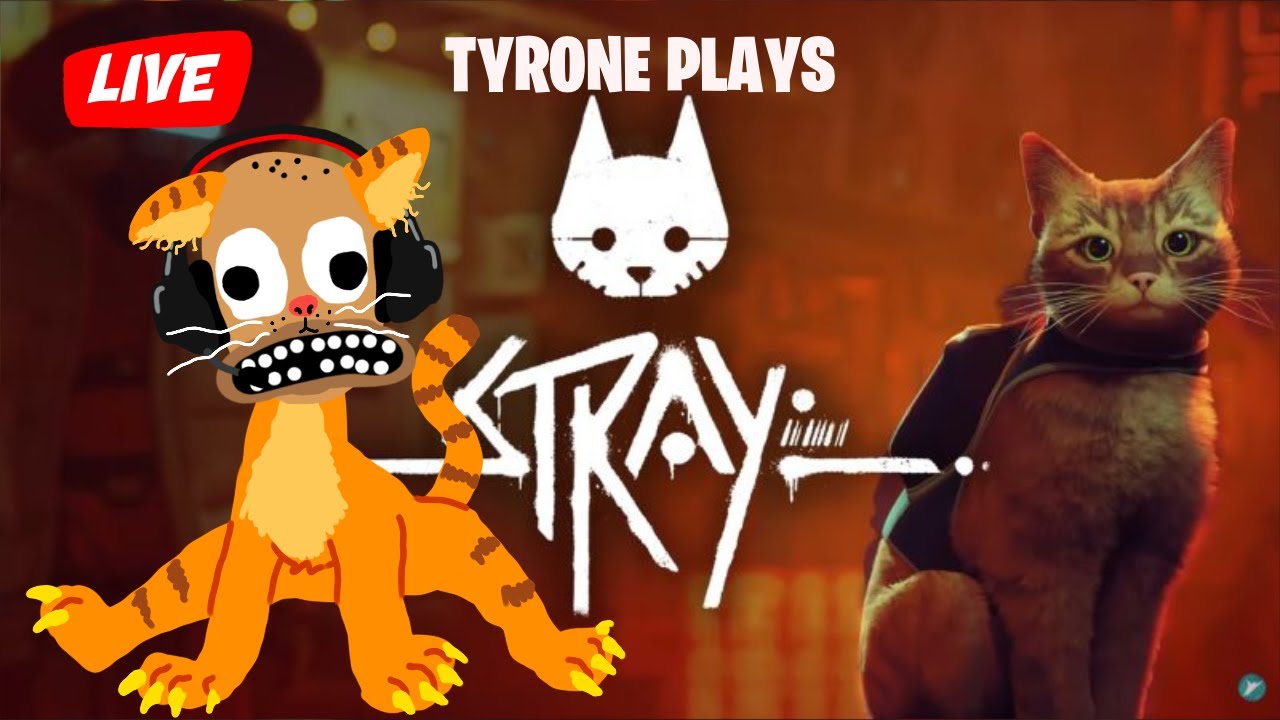 Trying This New Cat Game "STRAY" 😳🐈 #MatthewRaymond #TyroneGaming # ...