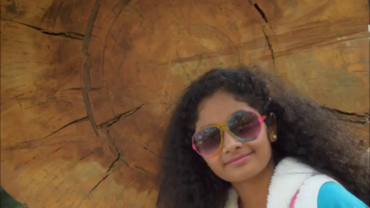 Thumbi Vaa Cover - YouTube