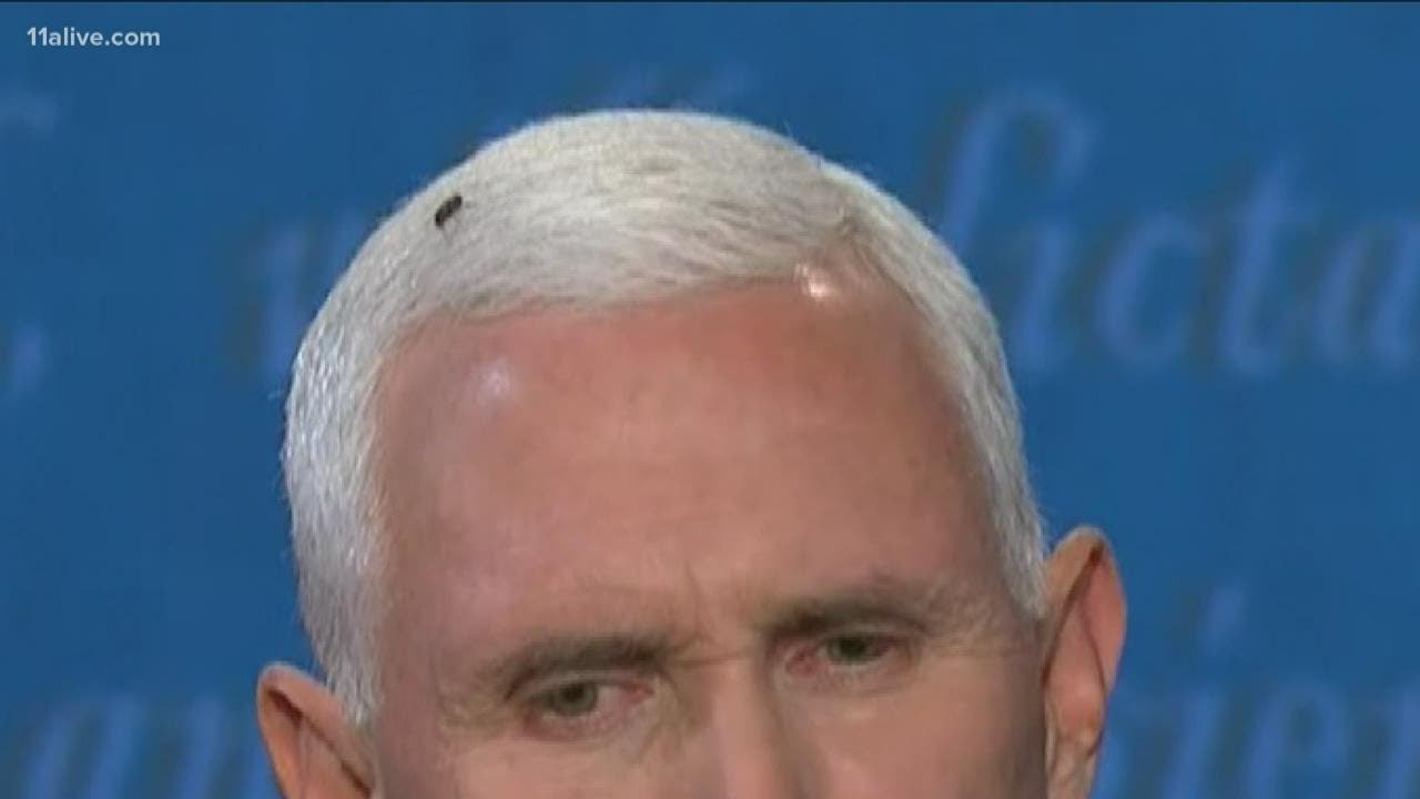 The fly in the room: Bug lands on Mike Pence's head during debate - YouTube