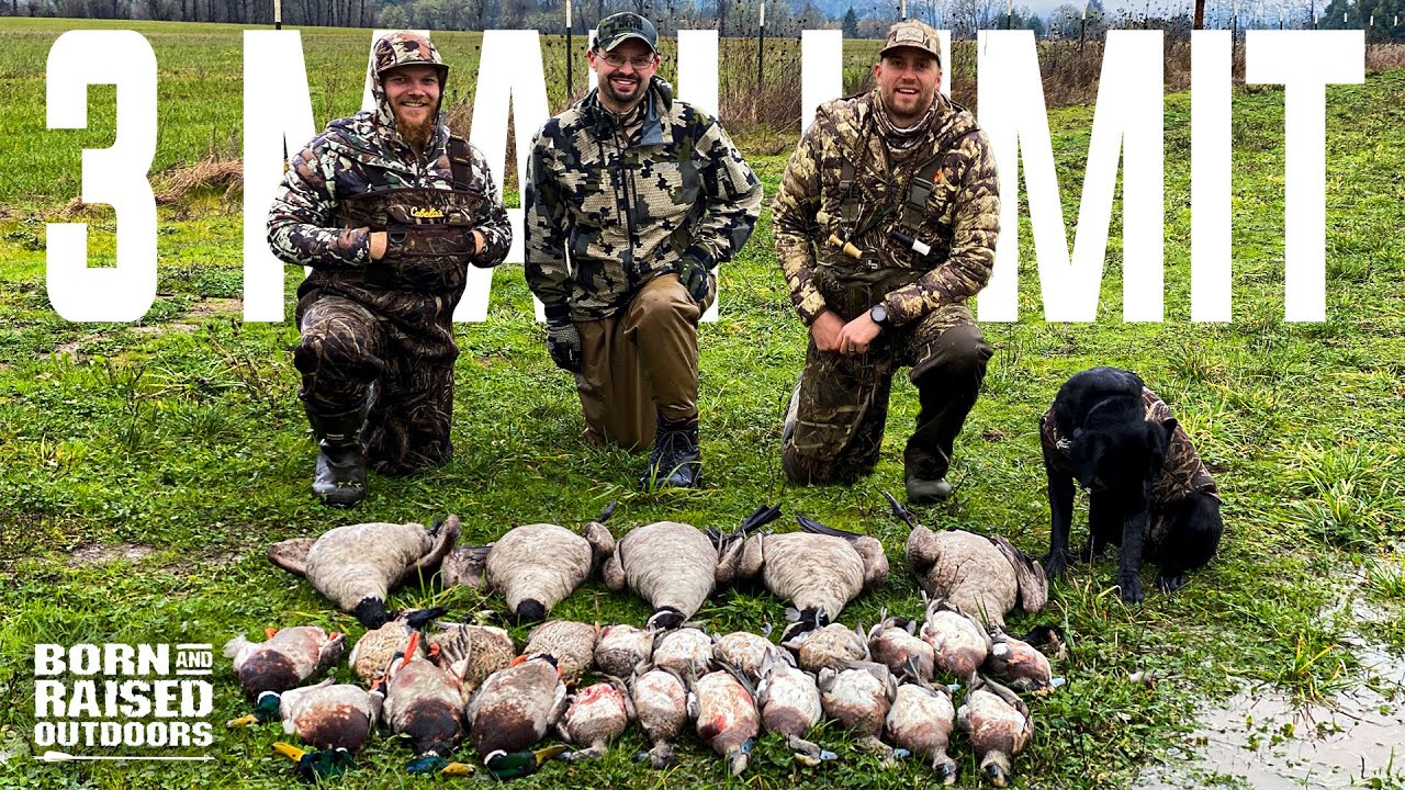 3 MAN LIMIT!!! Awesome Waterfowl Hunt - YouTube