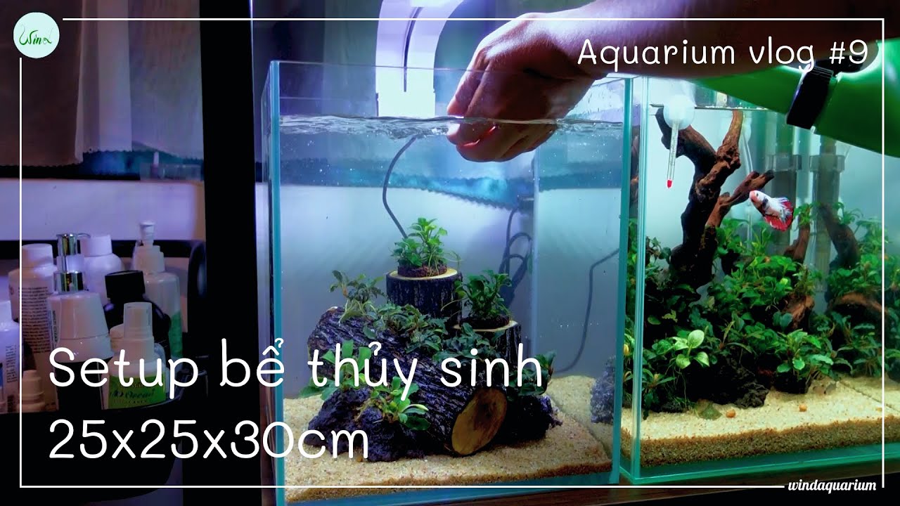 Mini Aquarium Setup: Setup 30cm Cube Aquarium Step By Step - YouTube