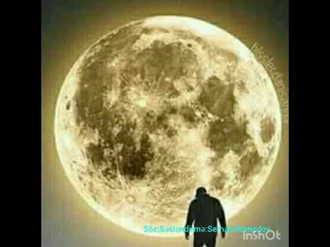 Serhad Ahmedov-Qədrimi-bil-Ey Gecə