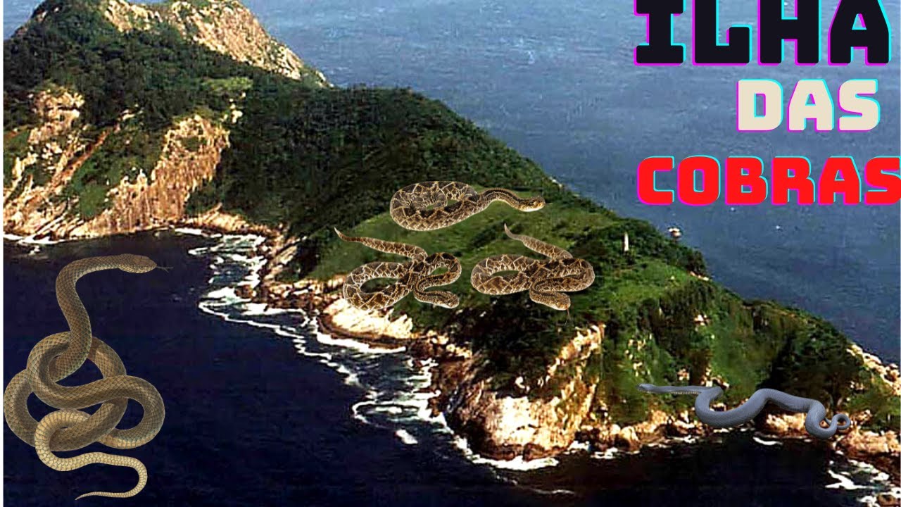 ILHA DAS COBRAS. Segundo lugar com mais cobras no mundo. - YouTube