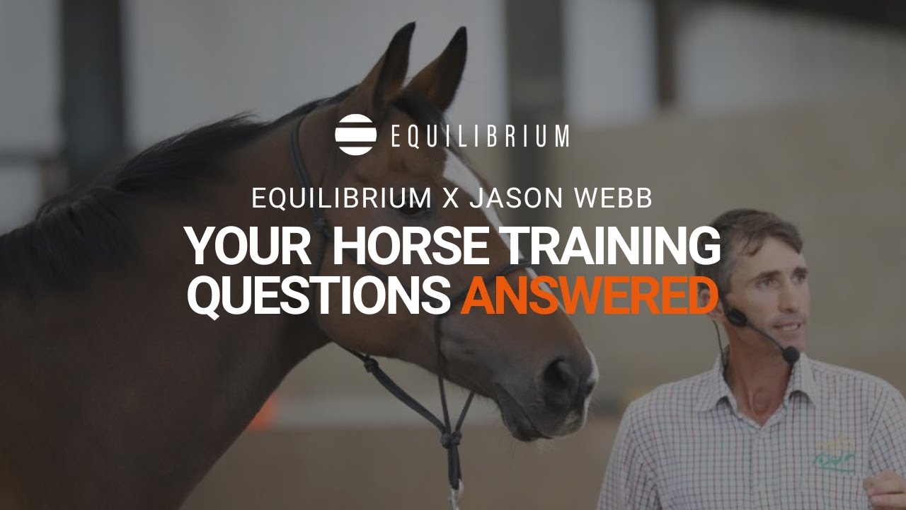Equilibrium X Jason Webb Training Interview - YouTube