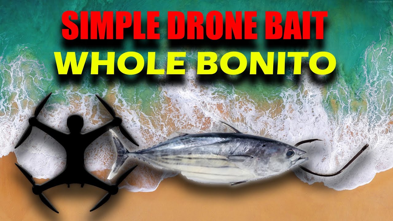 Simple Drone Bait - Rigging A Whole Bonito - YouTube