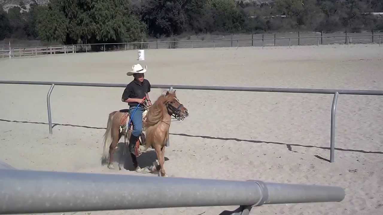 Kids riding mini horses - YouTube