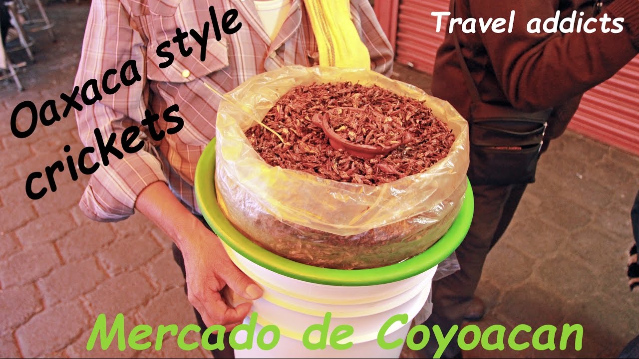 Crickets Food Mexico at Sean Chaffey blog