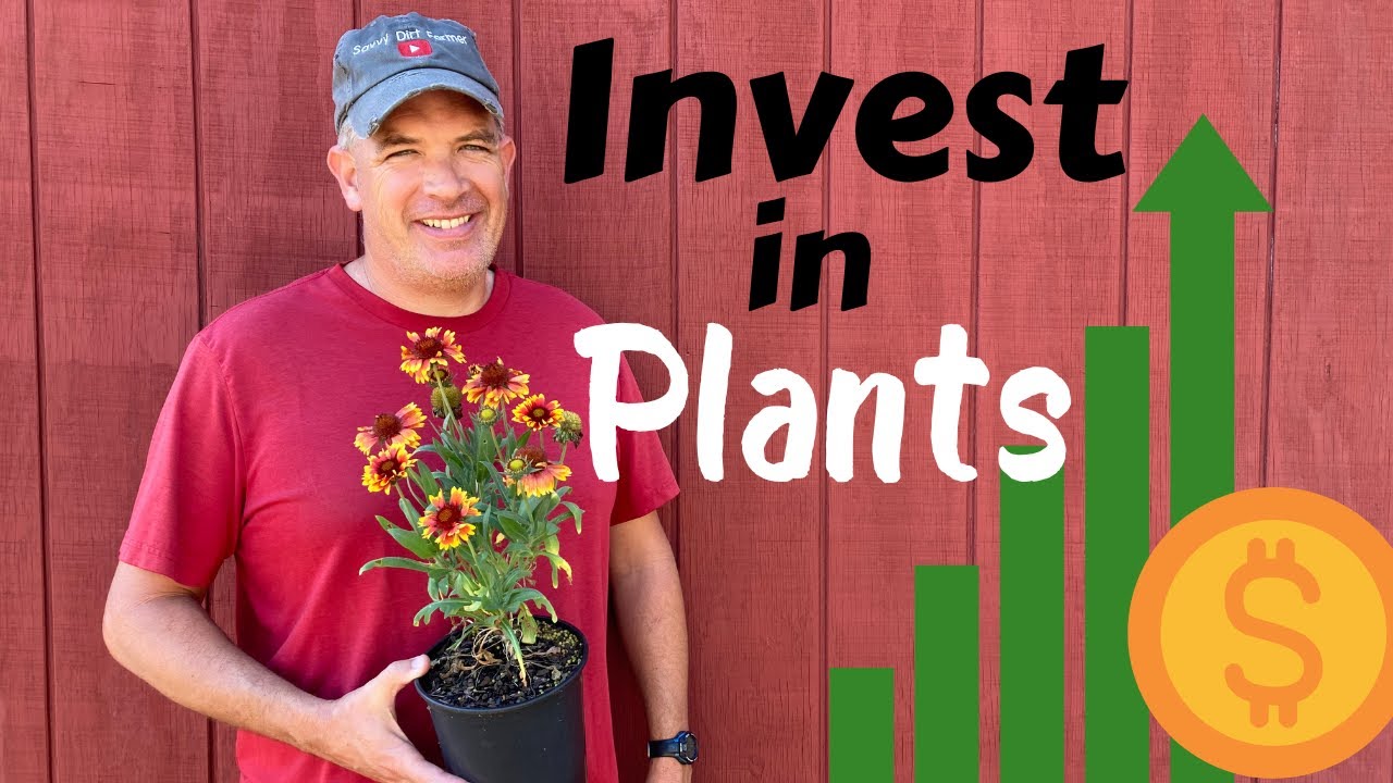 Investing in plants can put MONEY in your pockets!! - YouTube