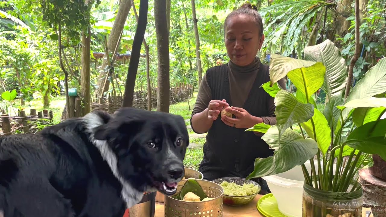 Cooking Coconut Steamed Bun in My GARDEN KITCHEN | Country Life - YouTube