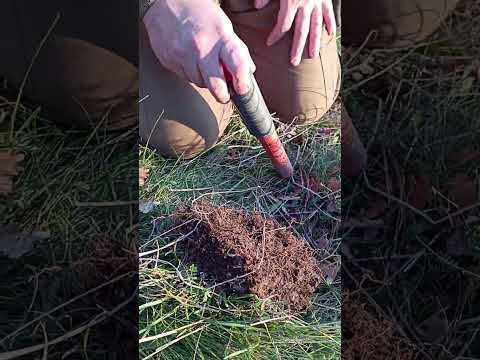 ищем сокровище металла искателем - YouTube
