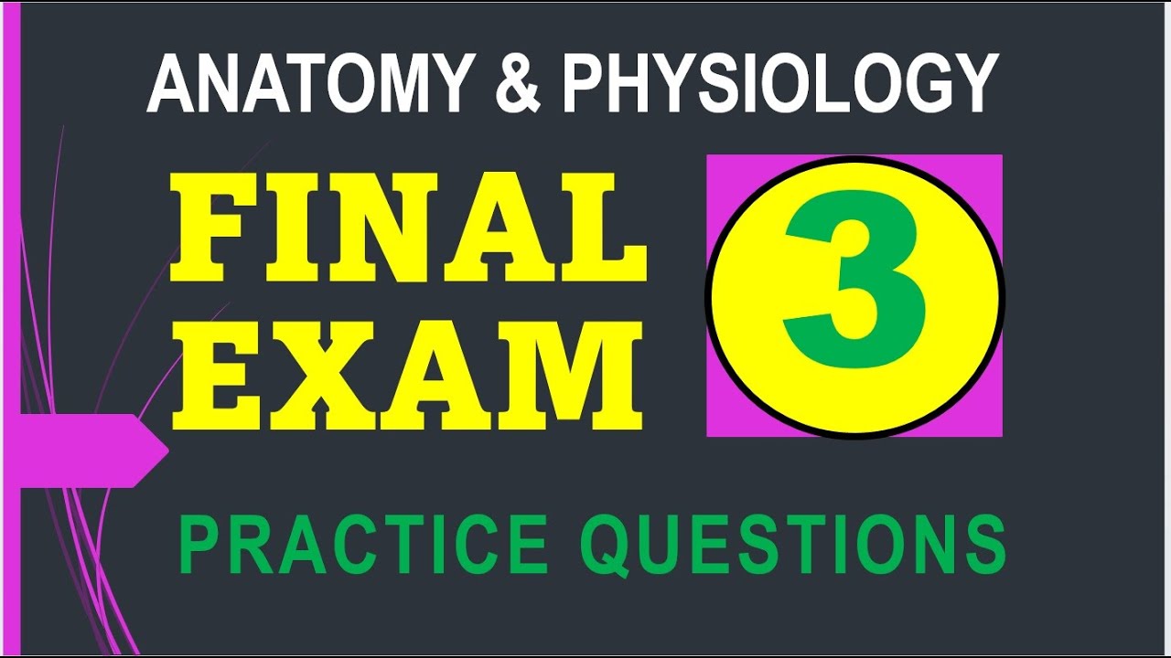 Anatomy & Physiology Final Exam Practice Questions Part 3 - YouTube