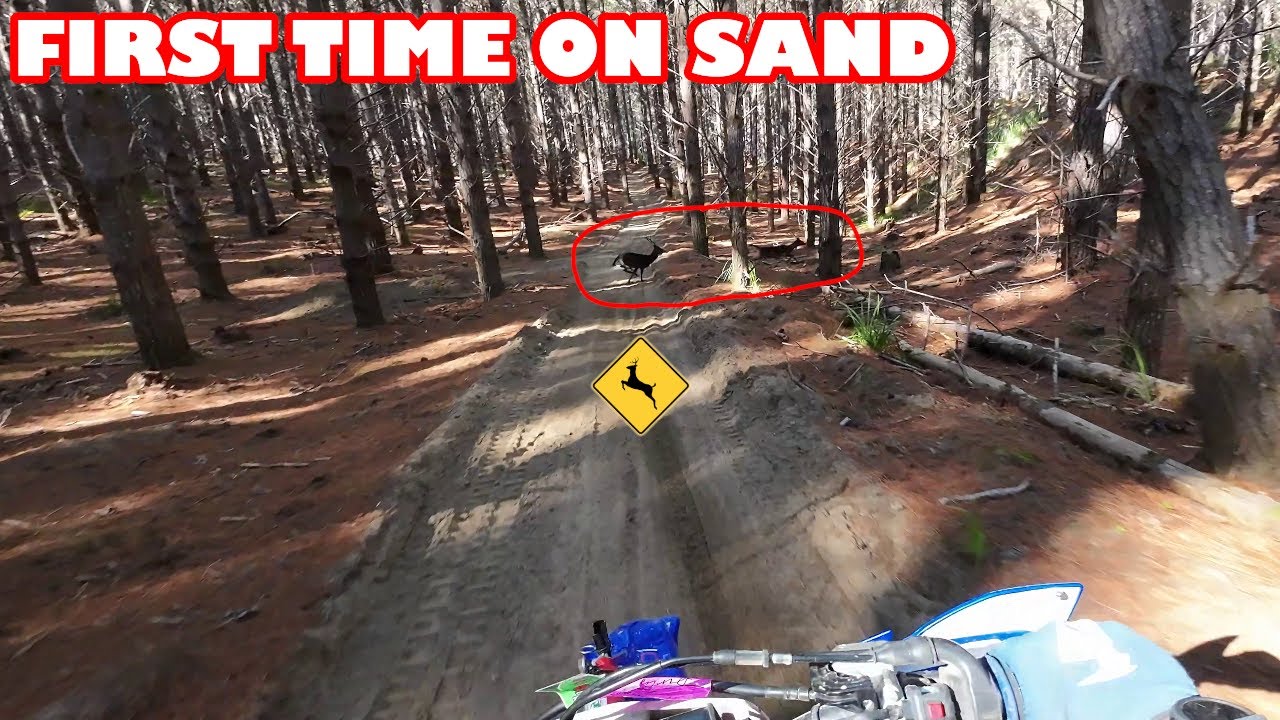 FIRST TIME riding on proper SAND | The Sandpit - Woodhill - YouTube