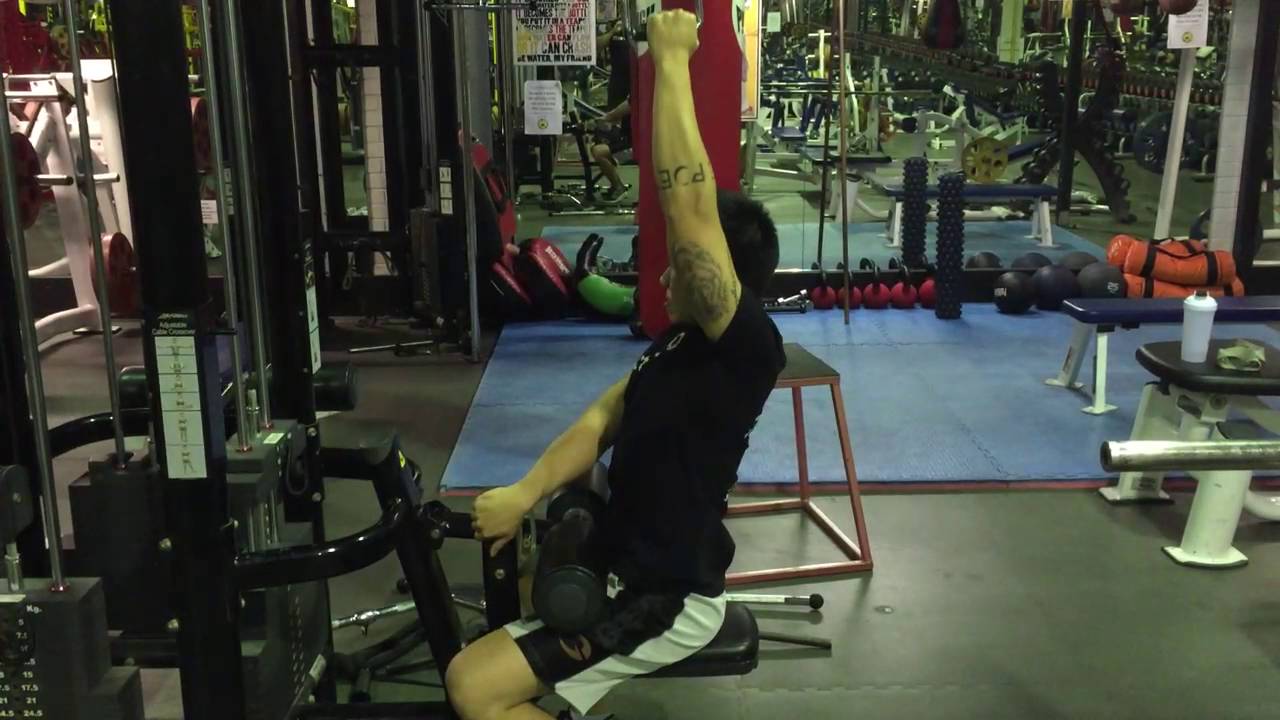 Single Arm Lat Pulldown Demo - YouTube