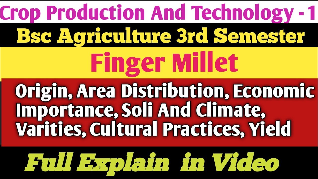 Finger Millet Crop Production Technology-1 Bsc Agriculture 3rd Semseter ...