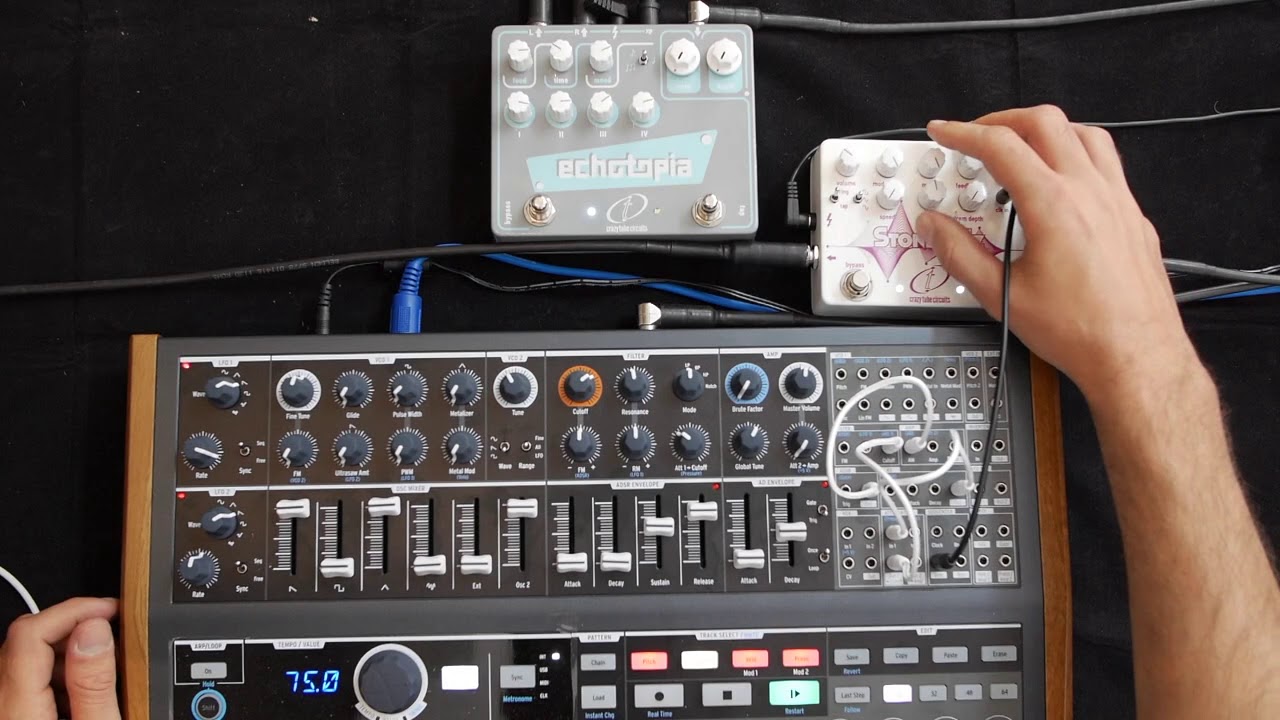 Crazy Tube Circuits Echotopia, StonedHz V2 with Arturia MiniBrute 2S - YouTube