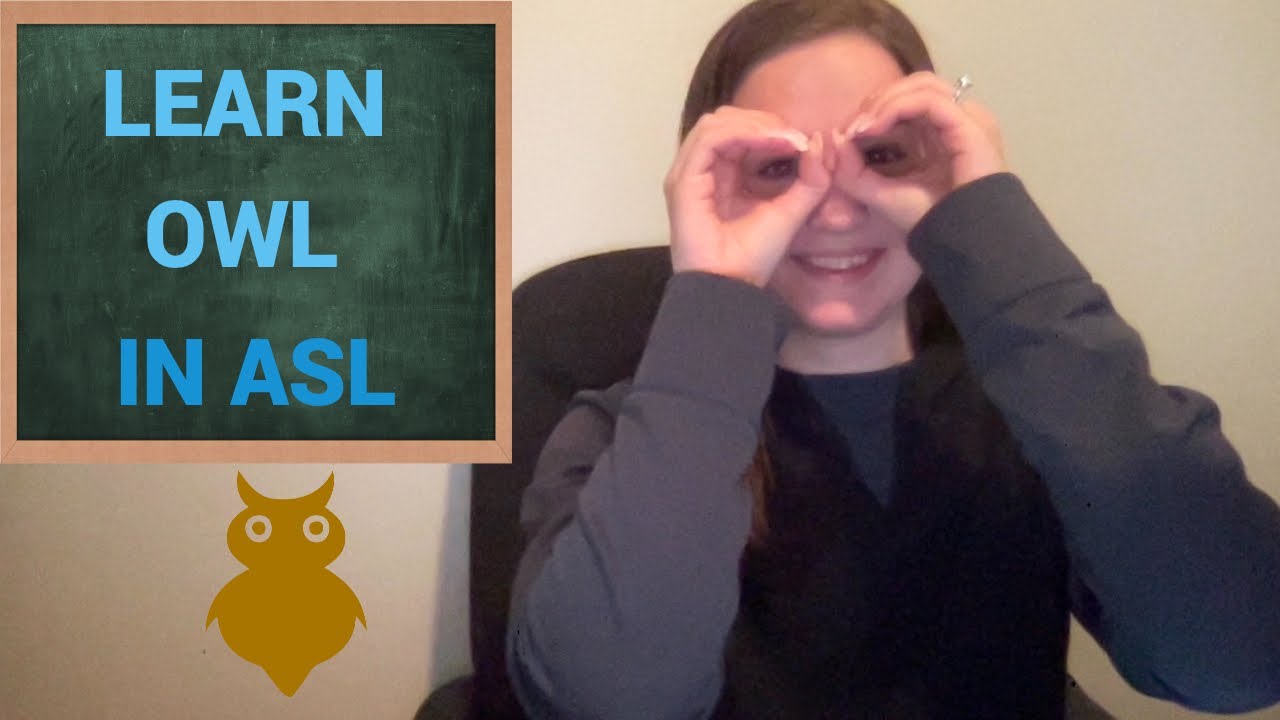 Owl in ASL | EASY Owl in ASL - YouTube