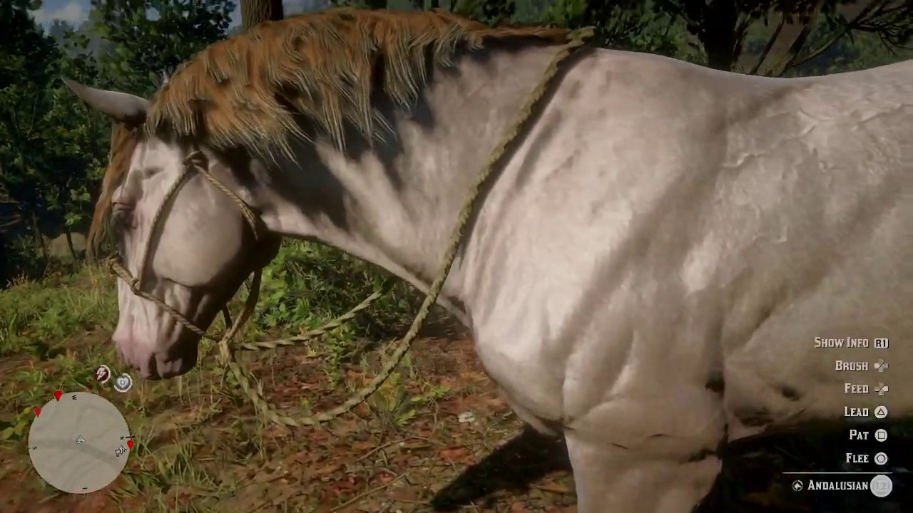 Red Dead Redemption 2 - Perlino Andalusian Location - YouTube