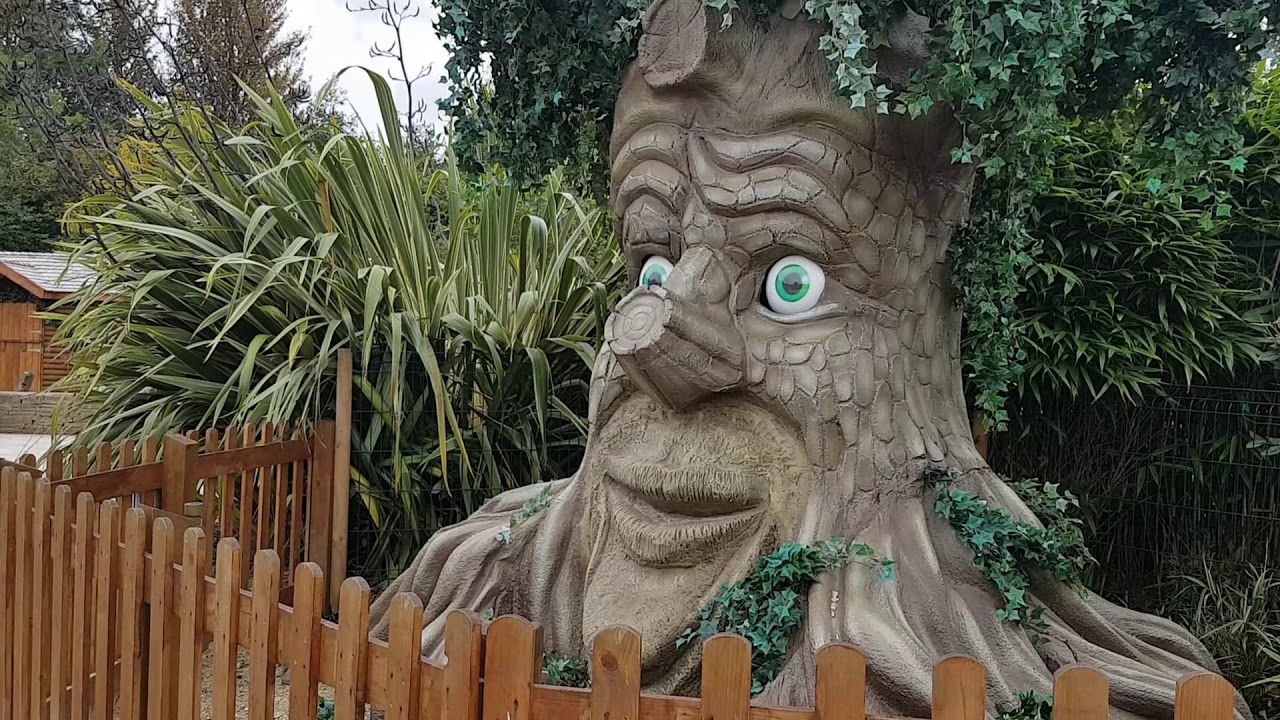 Weird talking tree at Tayto Park - YouTube