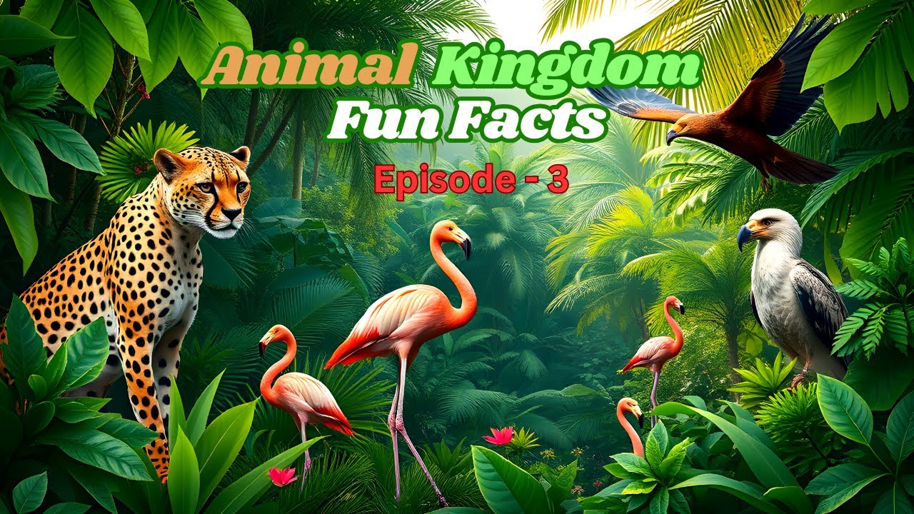 Animal Kingdom Fun Facts E3 - YouTube