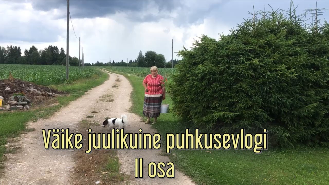 18.-21.07 2020 puhkusevlogi II osa / II part of vlog about little ...