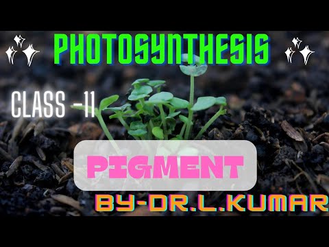 pigment in photosynthesis class 11 biology by-dr l Kumar #drlkumar #neet mehi lakshya classes ...