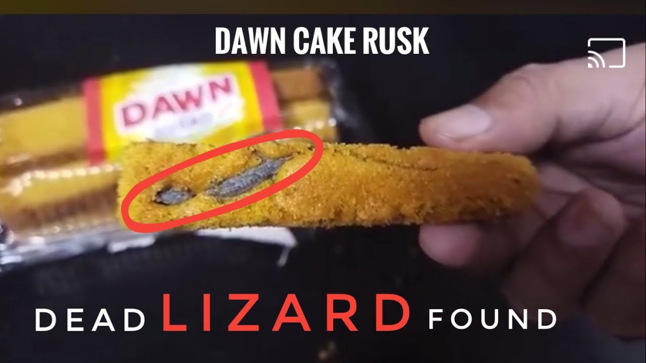Dead Lizard found in Dawn Cake Rusk 🤢🤮 - YouTube