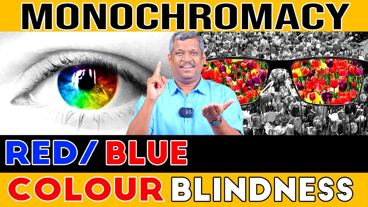 "நிற அட்டை பயிற்சி" | Monochromacy | Red-Blue | Color card practice ...
