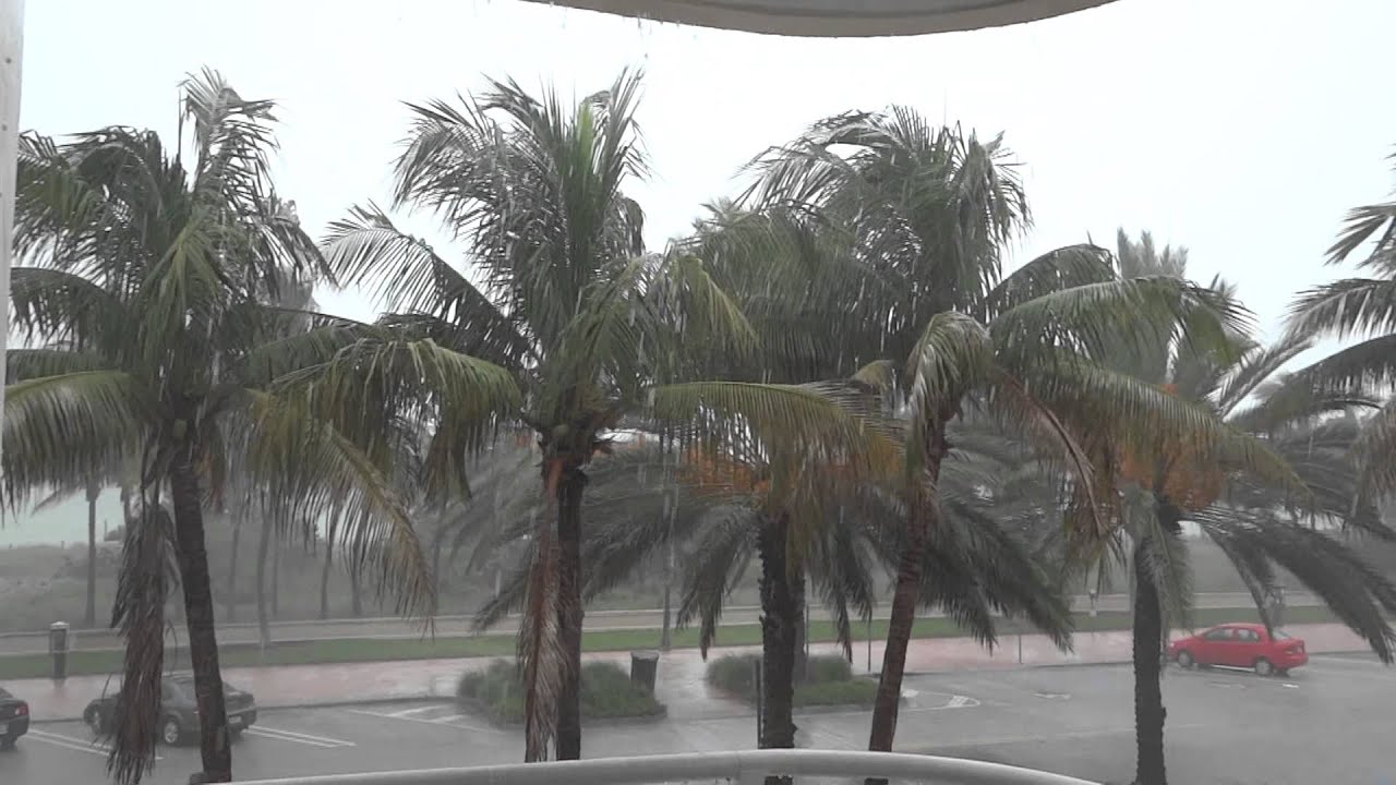 Tropical rain in August Miami Florida downpour HD - YouTube