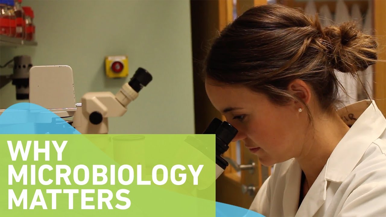 Why microbiology matters - YouTube