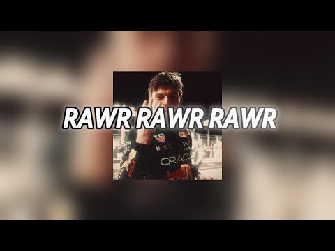 RAWR RAWR RAWR x Max Verstappen . Hav Hav Hav - LVBEL C5