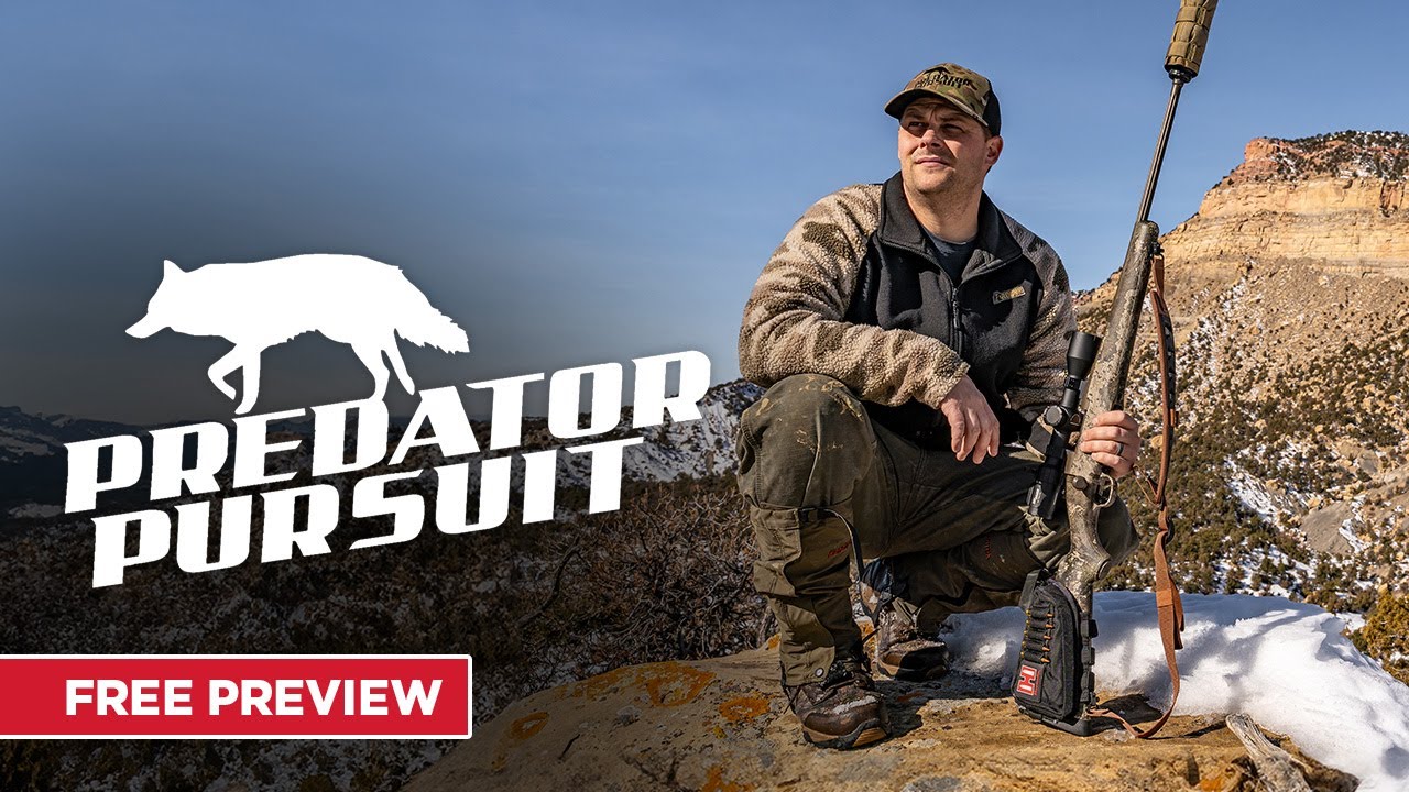 Predator Pursuit | Shark Bait | Free Preview | MyOutdoorTV - YouTube