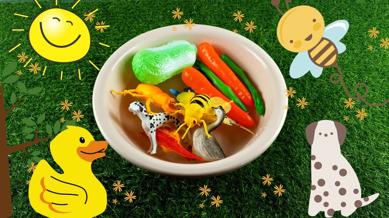 Teach children to learn English through pictures of cute animals #15 ...