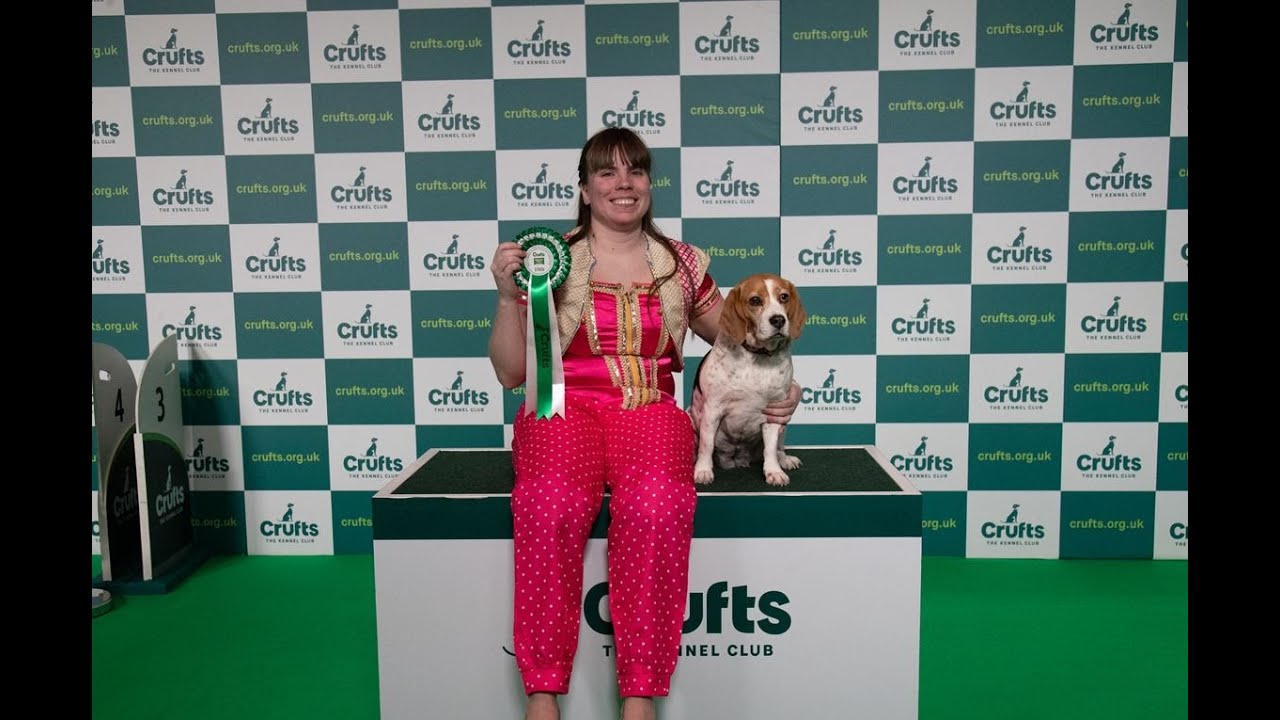"Dog Dancing" - sport vagy tánc? - YouTube