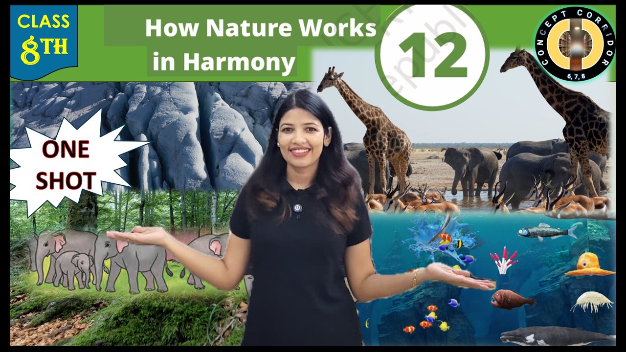 How Nature Works in Harmony | Chapter 12 One Shot Revision | Class 8 ...