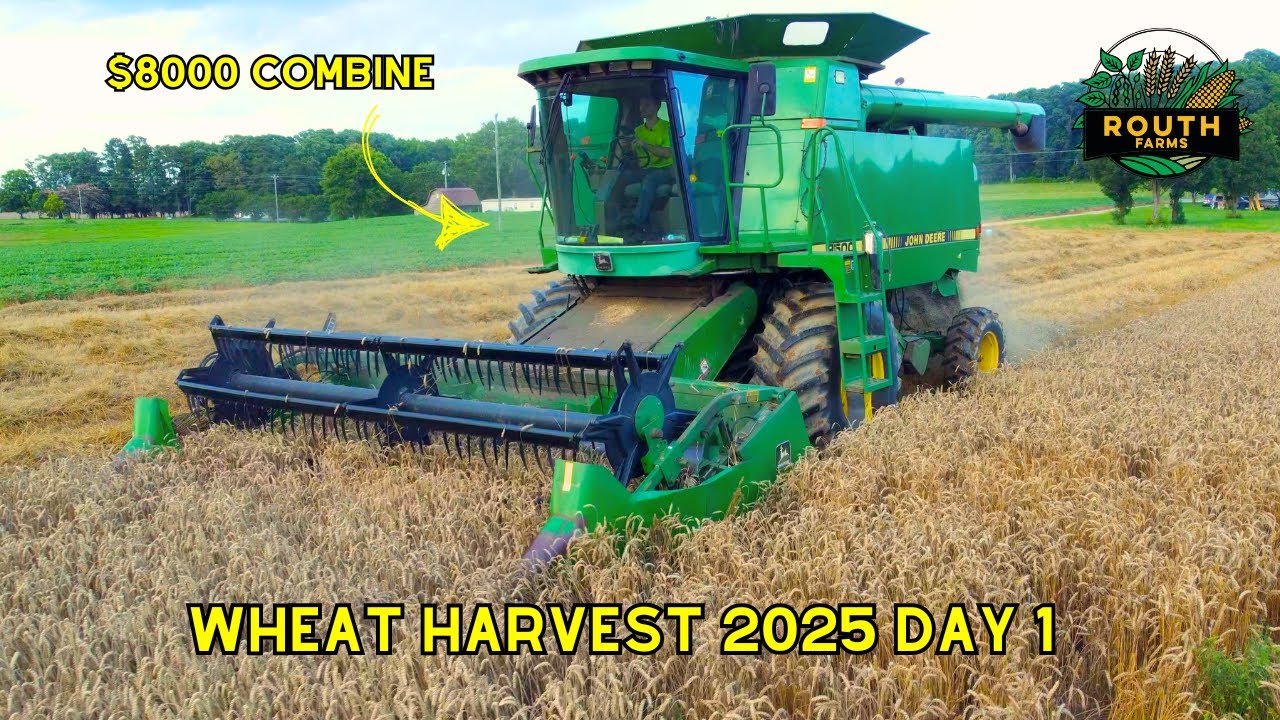 2025 Wheat Harvest Begins In North Carolina | We Have Issues - YouTube