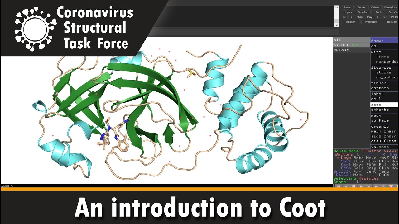 Introduction to Coot - YouTube