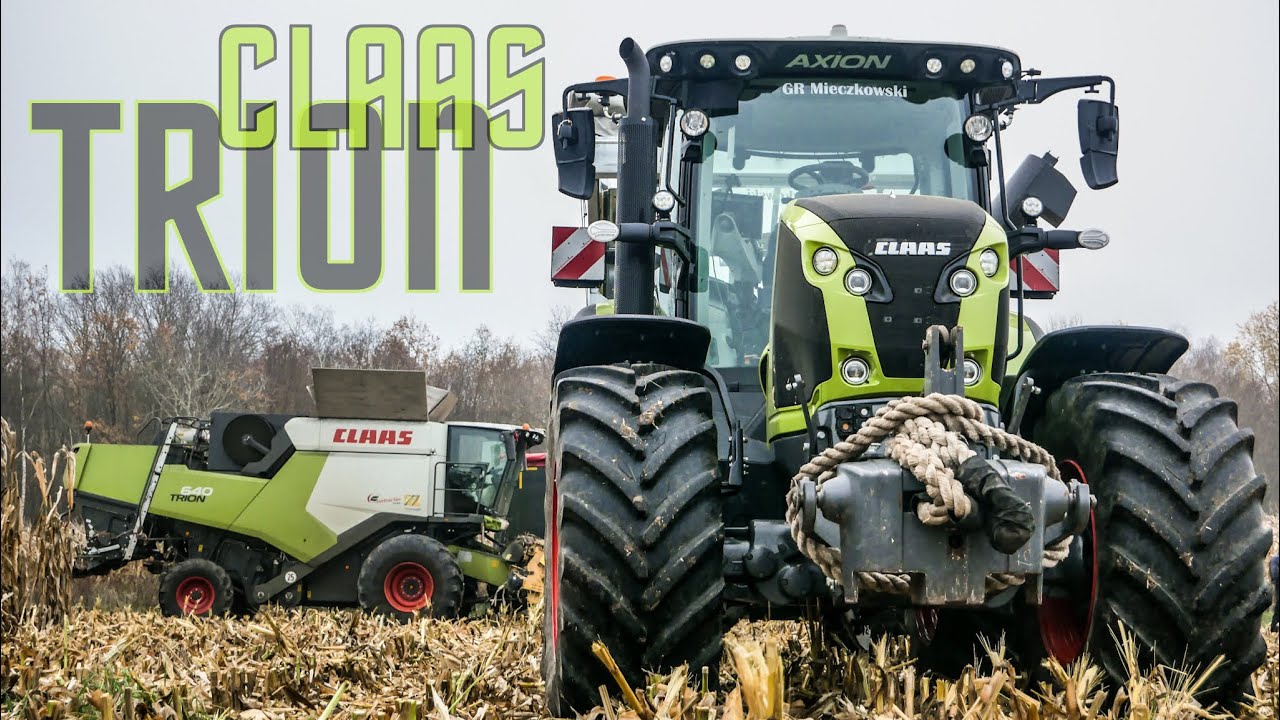 🇵🇱 CLAAS TRION 640 ★ JEDYNY W OKOLICY ★🌽 ZBIÓR KUKURYDZY NA ZIARNO - GR ...