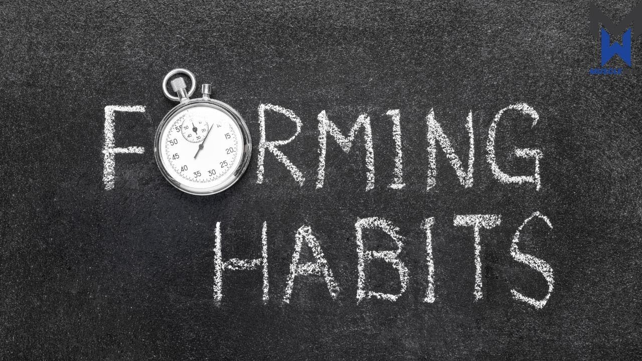 How to Build Discipline and Make Gym Workouts a Habit | Research-Backed ...