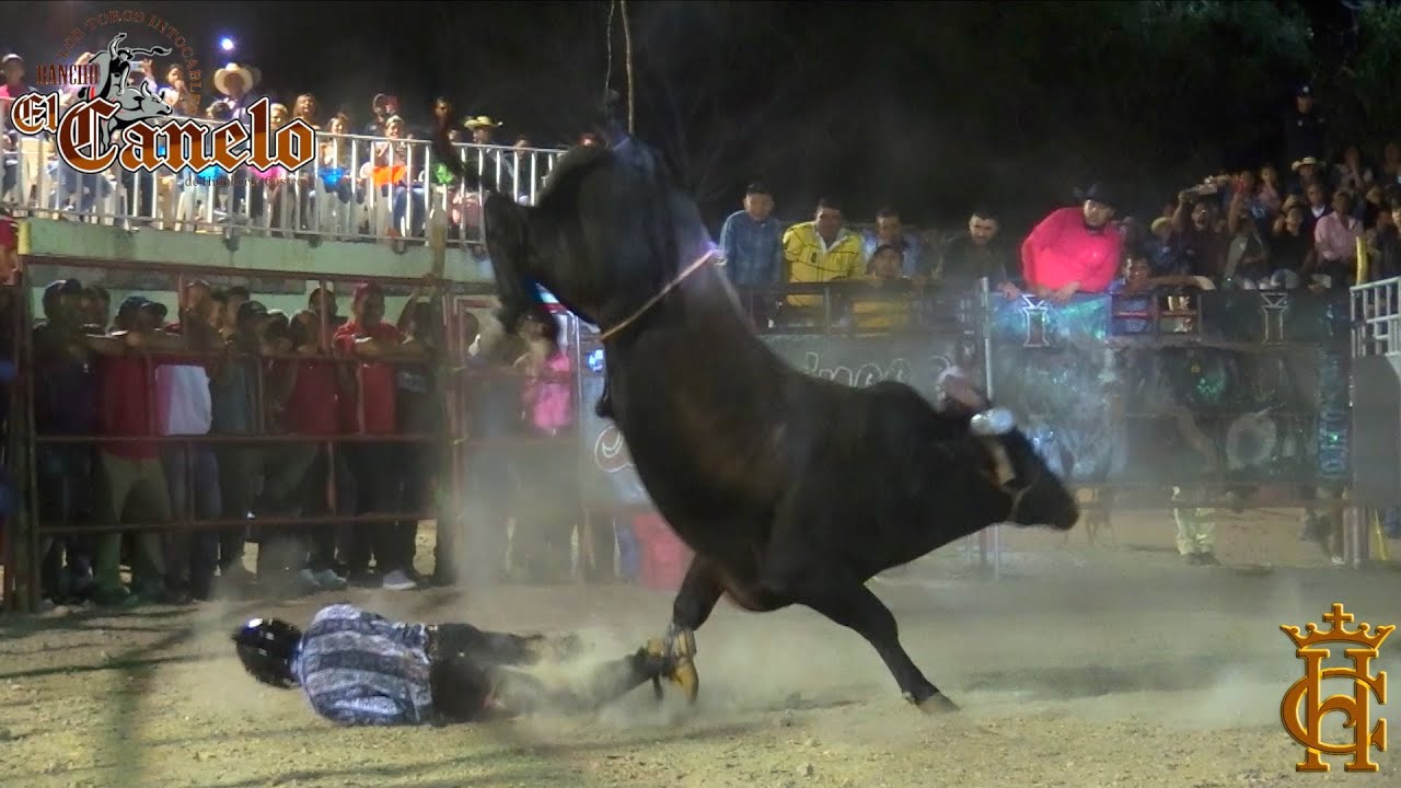 LO PISO DECIA EL LOCUTOR!! MAXELA GUERRERO 2023 - YouTube