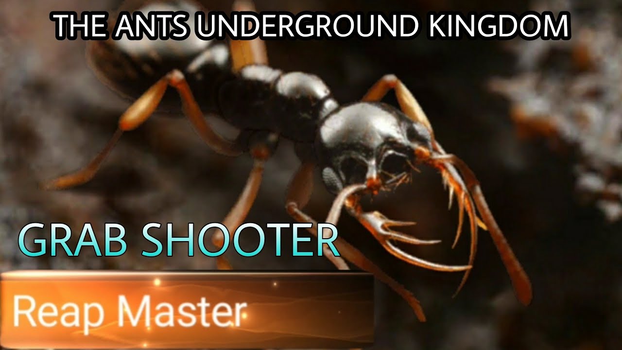 THE ANTS: PLANET ANT UNDERGROUND KINGDOM. HATCH REAP MASTER ANT - YouTube