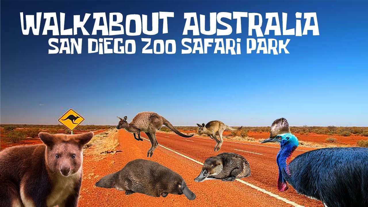 Uncaged Zoo Tours: Walkabout Australia at the San Diego Zoo Safari Park ...