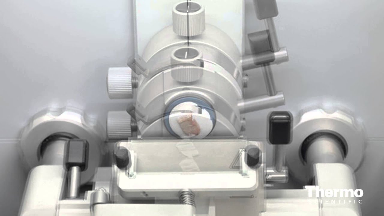 Cryosectioning Innovation | Thermo Scientific NX Series - YouTube