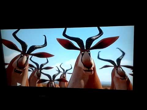Springbok sees Mama V's butt