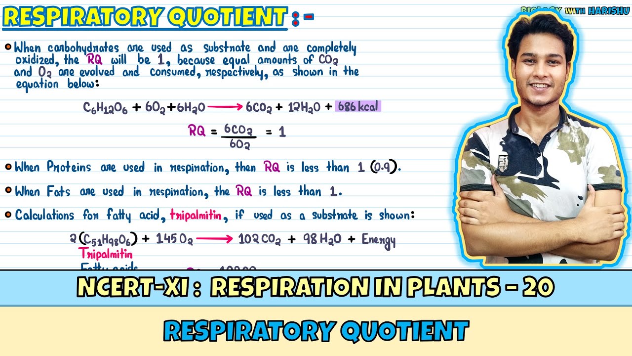 Respiration in Plants| Lec 20- Respiratory Quotient| Class 11| NEET ...