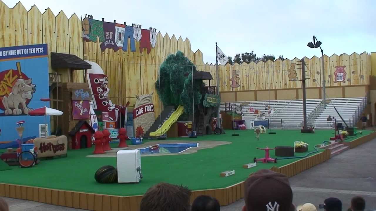 Pets Rule @ Sea World, San Diego, California Part 02 of 02 - YouTube